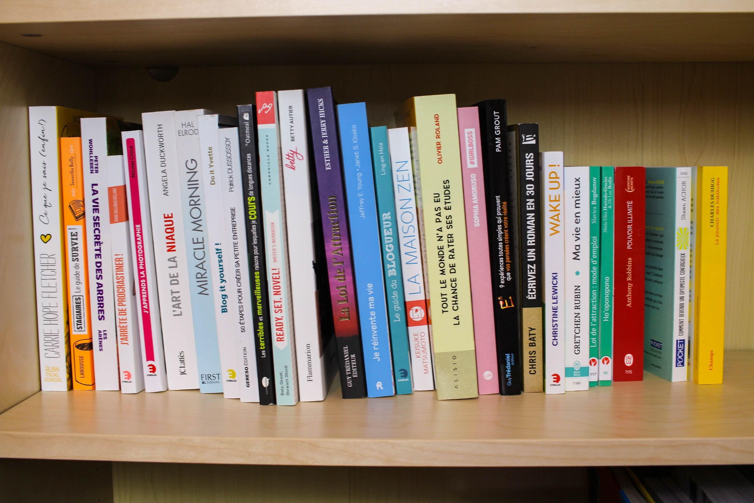 ¿Cuáles Son los Mejores Libros para Aprender Francés?