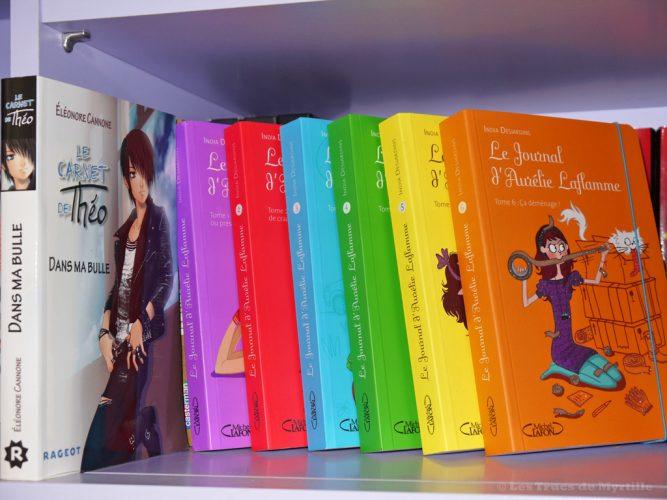 ¿Cuáles Son los Mejores Libros para Aprender Francés?