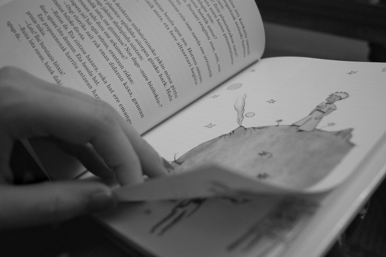 18 Frases en Francés Bonitas y Famosas | Superprof