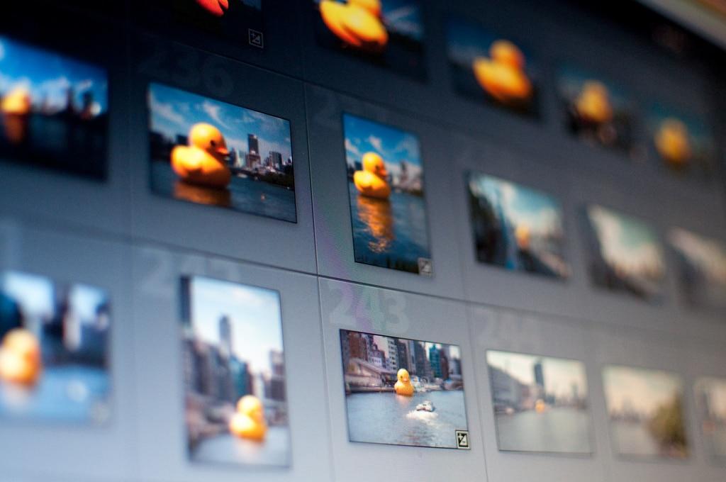 ¿Cuáles Son los Mejores Programas para Retocar Fotografías?