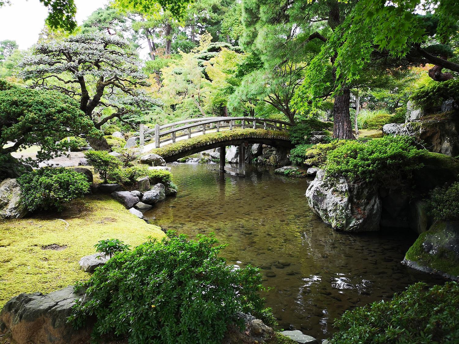 Japón: Los Parques Más Bonitos de Tokio | Superprof