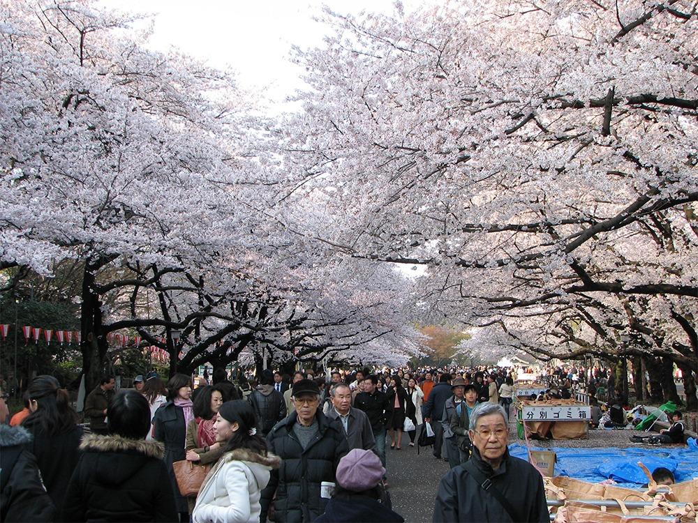 Joyas de Japón: los parques de Tokio | Superprof