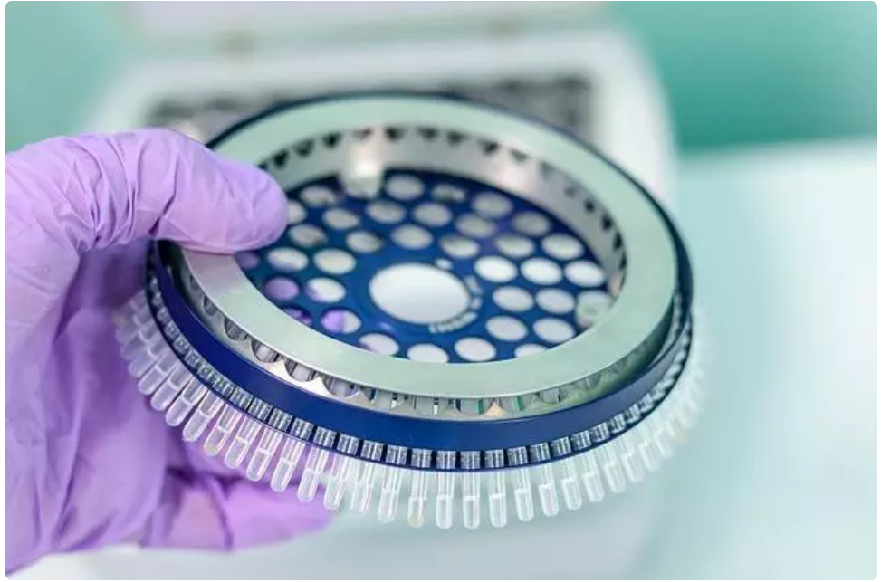 ¿Qué Es la Bioingeniería? | Superprof