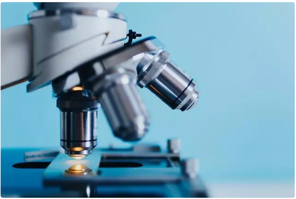 Microbiólogo: Todo Sobre los Estudios y el Trabajo