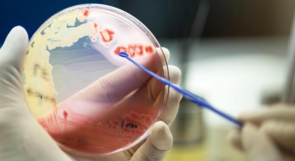 ¿Cuáles son los diferentes tipos de biólogos?