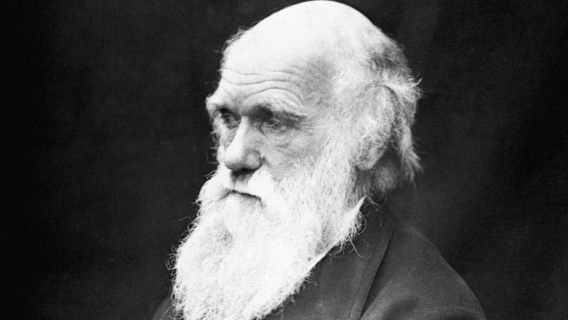 Charles Darwin, el Biólogo Más Famoso del Mundo