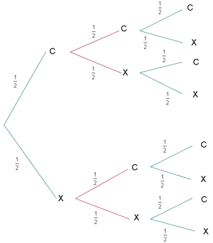 diagramas de árbol - Diccionario de Matemáticas | Superprof
